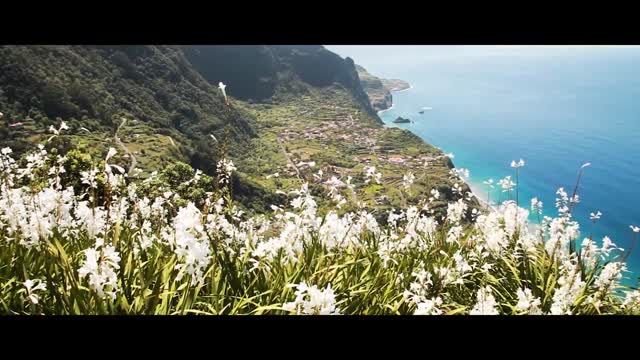 Video über Impressionen Lissabon und Madeira (93214) - sonnenklar.TV ...