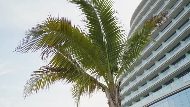 Video über das 5* SO/ Ras Al Khaimah: die Luxus-Neueröffnung des Jahres ...